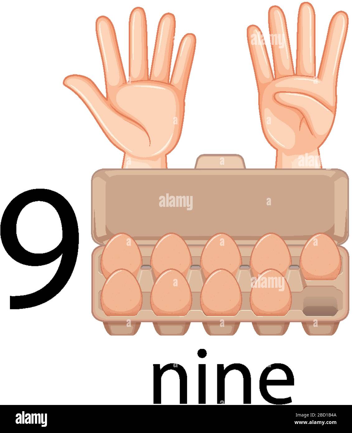 Counting number nine with eggs in carton illustration Stock Vector ...