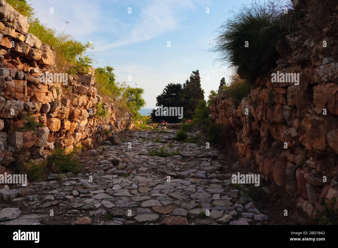 Rock pavement hi-res stock photography and images - Alamy