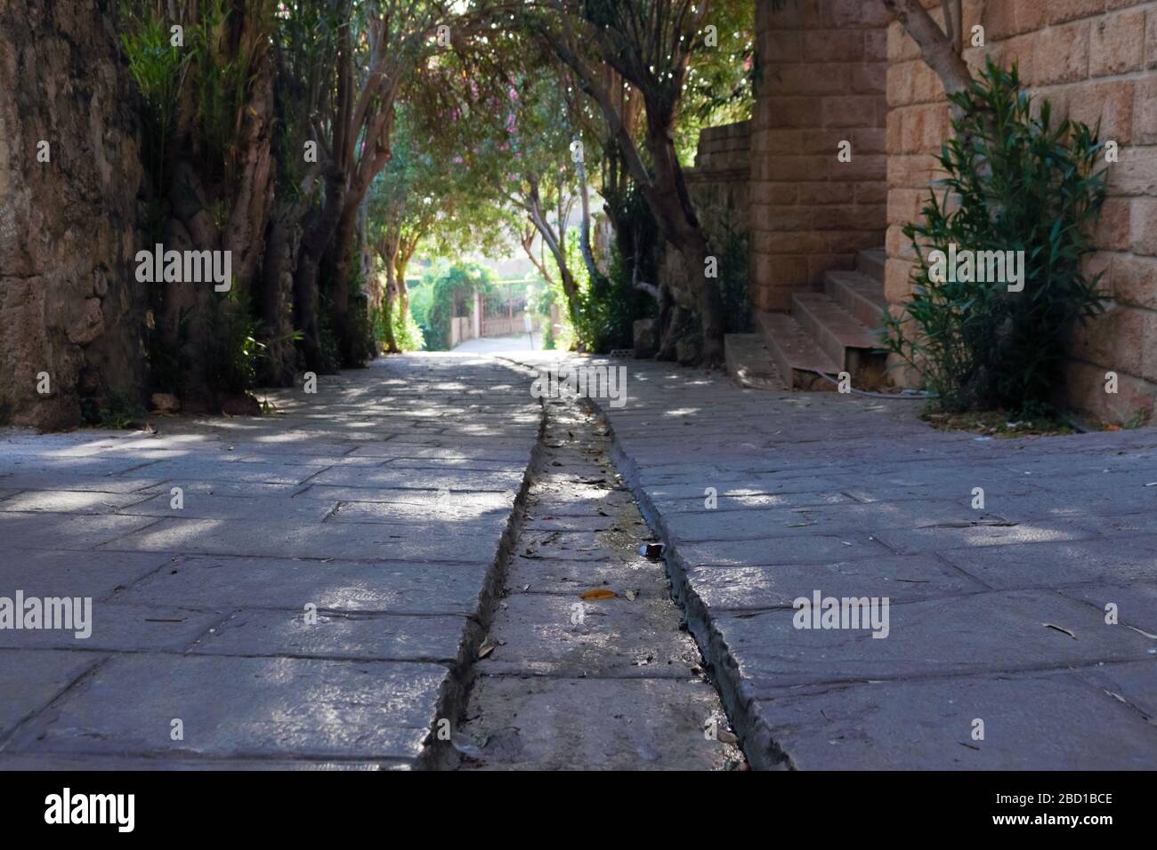 Medieval drainage channel in the middle of the ancient road at Byblos ...