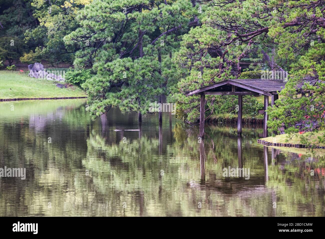 view of Japanese garden with pond Stock Photo - Alamy