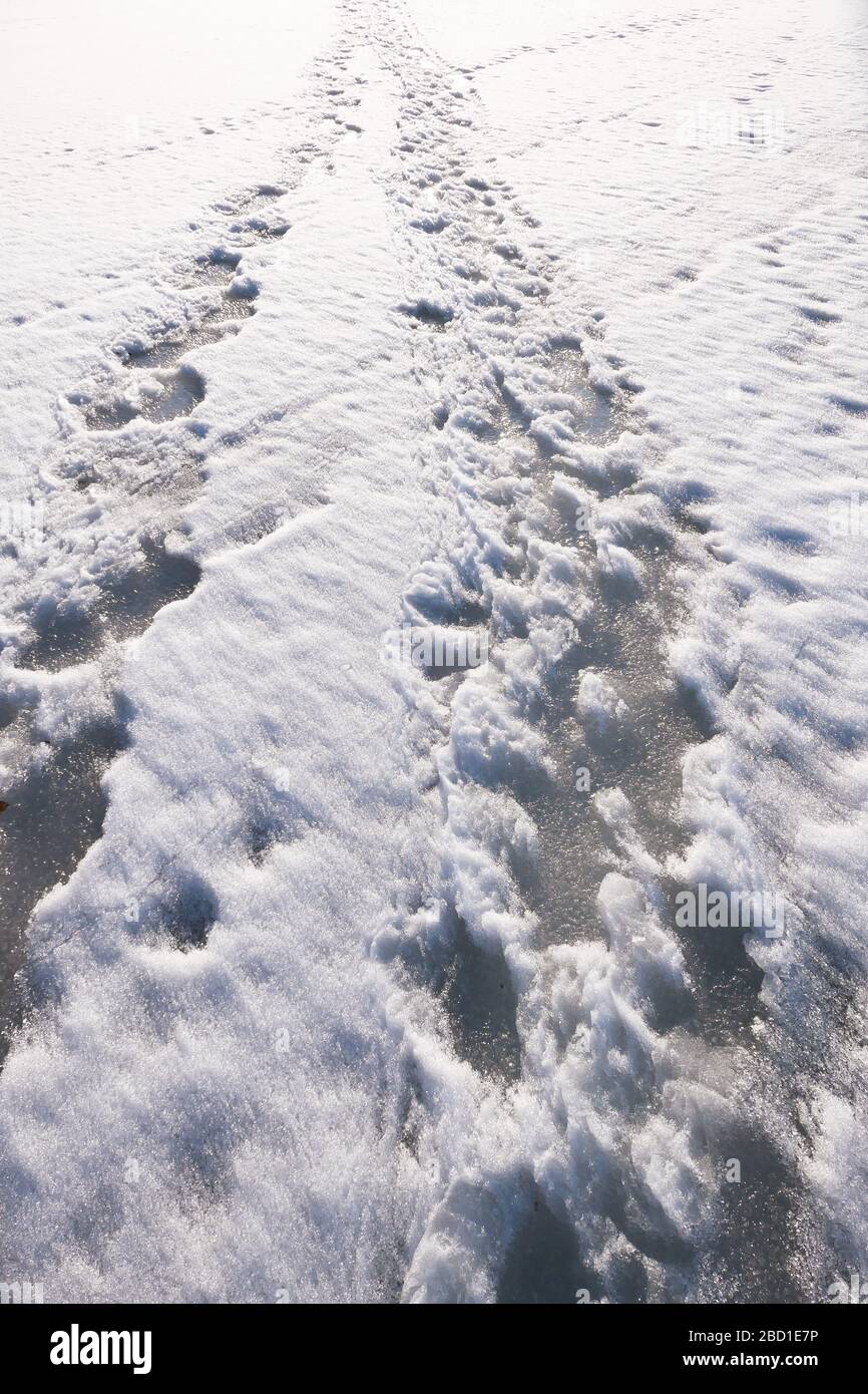 Footprints in the ice snow Stock Photo - Alamy