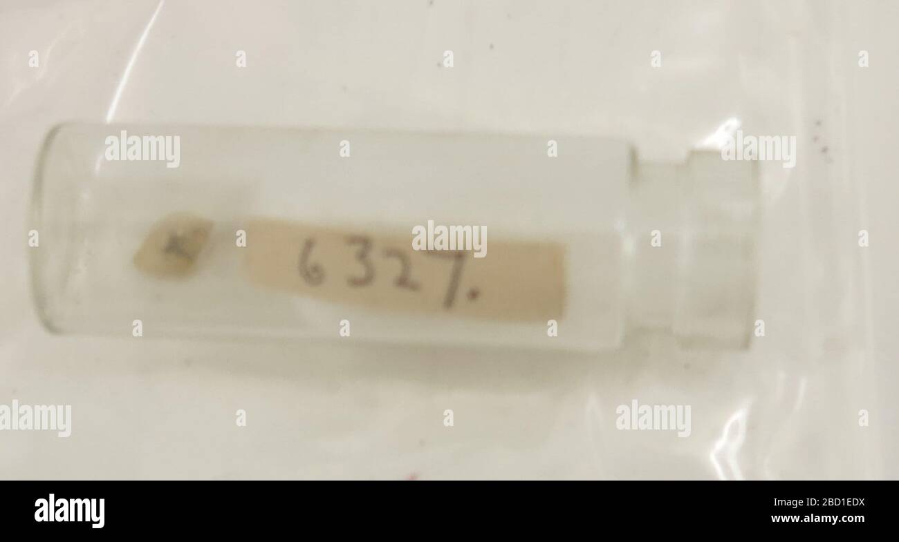 Physa High Resolution Stock Photography and Images - Alamy