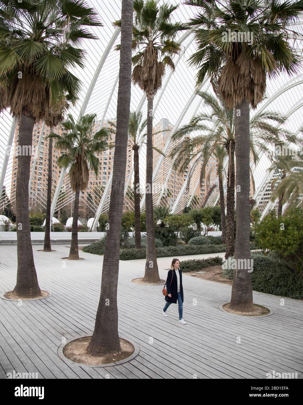 A Woman walks through the palm Trees of Jardín de Astronomía in The ...