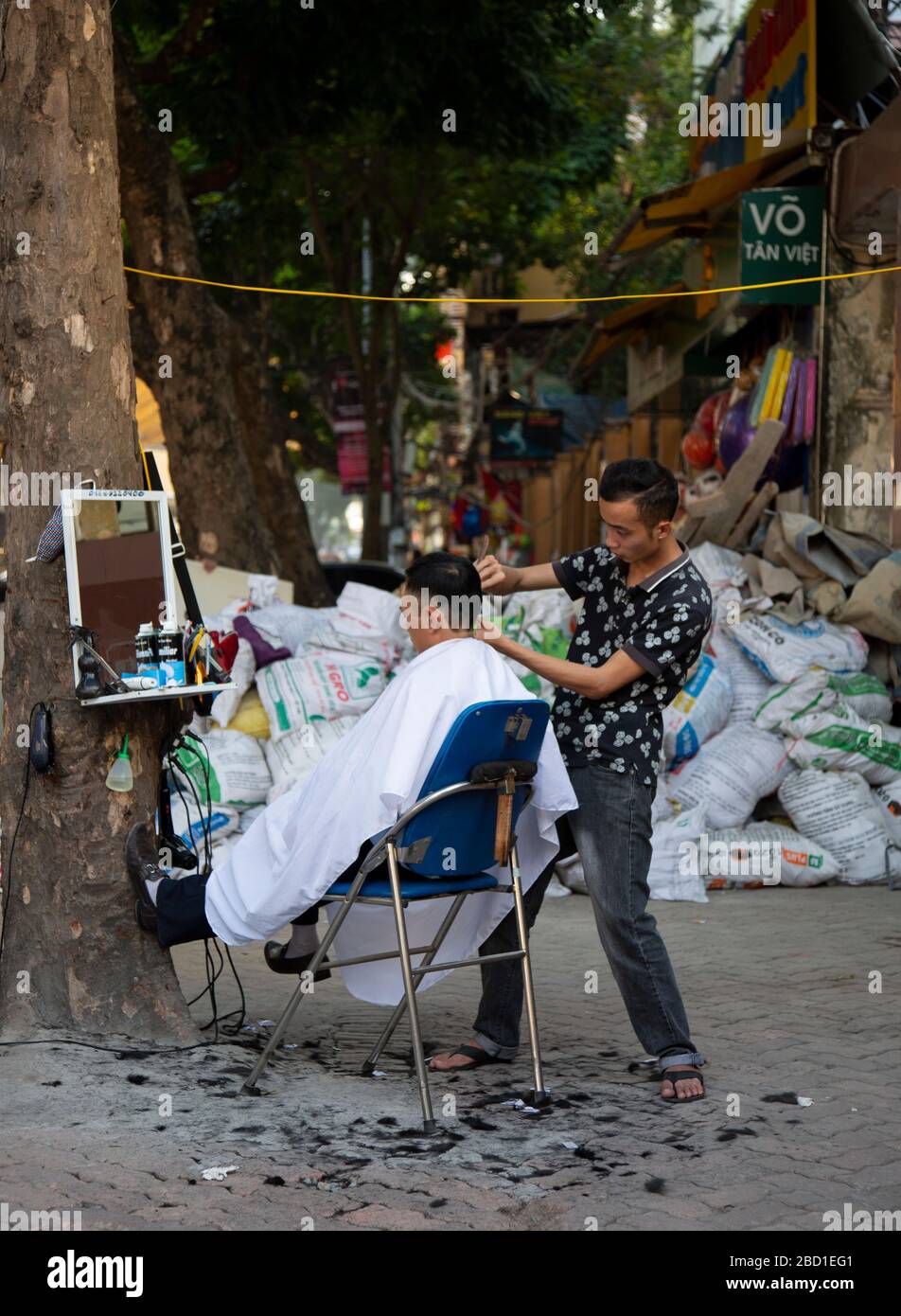A Barber gives a haircut under a tree on the streets of Hanoi in ...