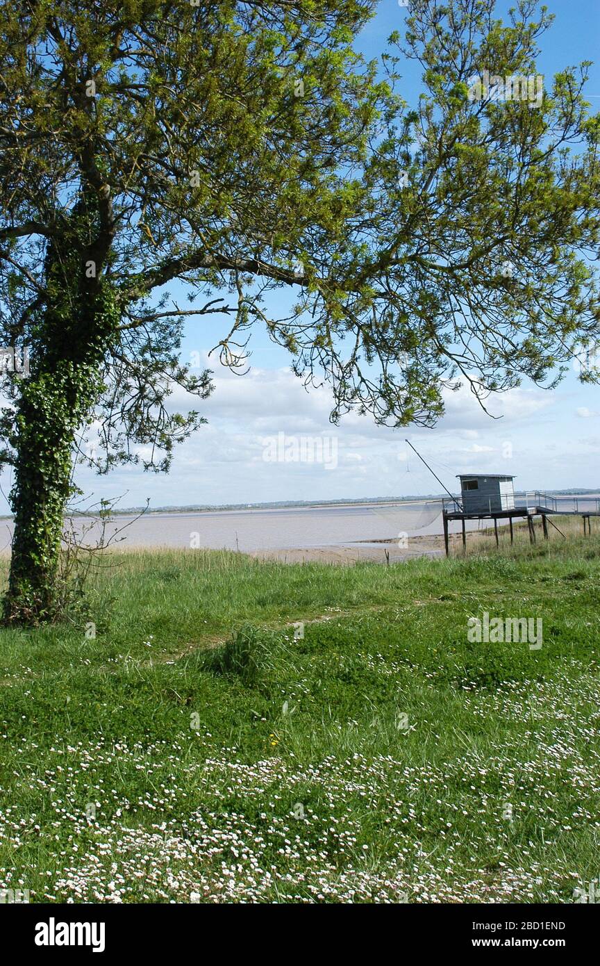 The iconic estuary of Aquitaine in France Stock Photo - Alamy