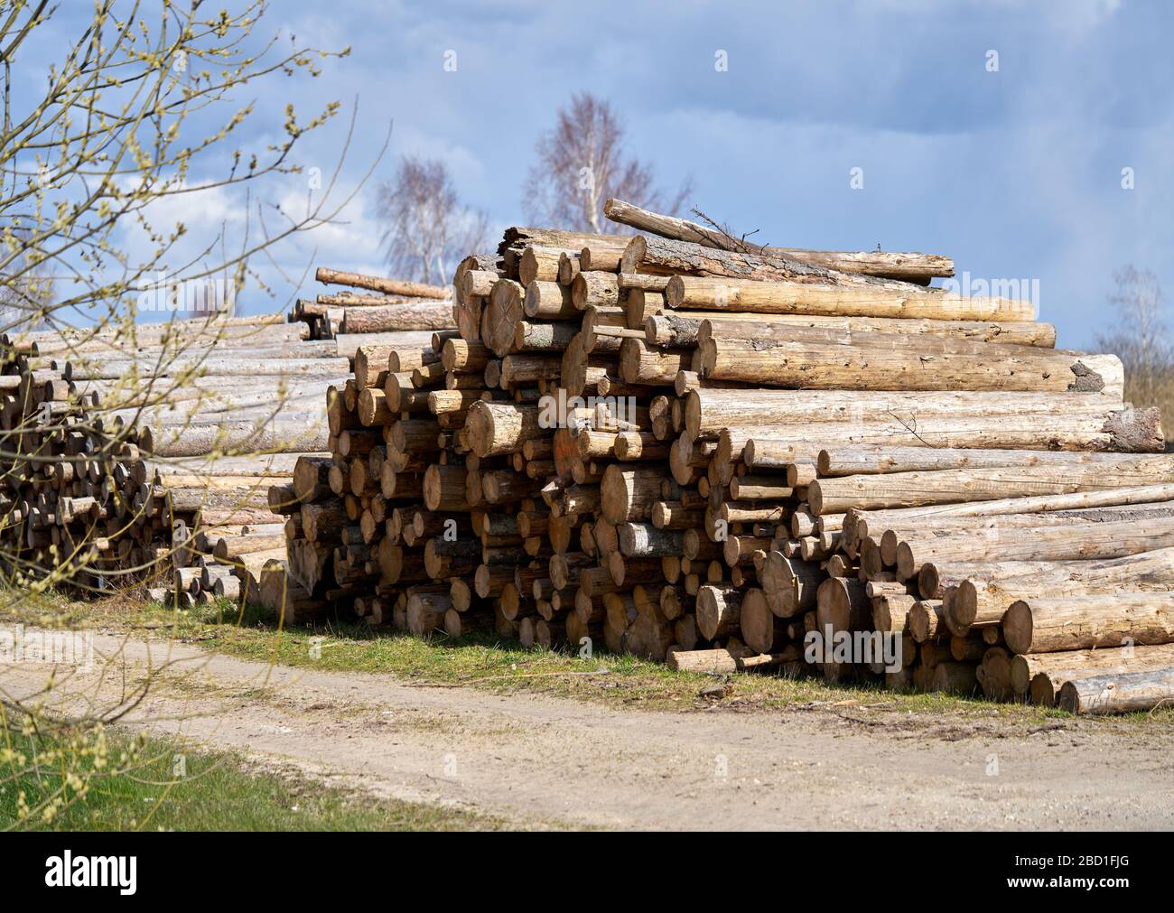 Trailer load of firewood hi-res stock photography and images - Alamy