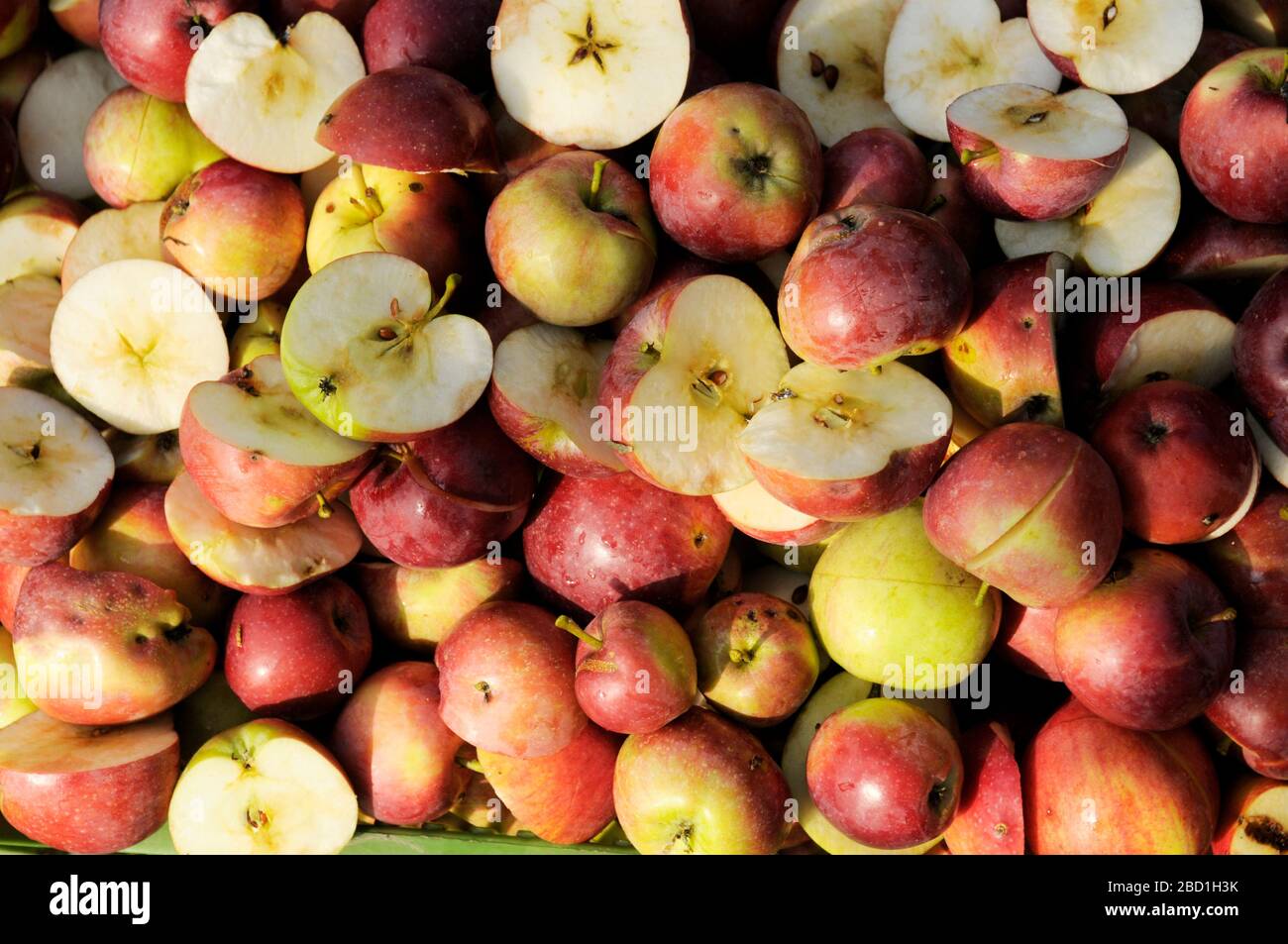 The pile of the shredded red apples Stock Photo - Alamy