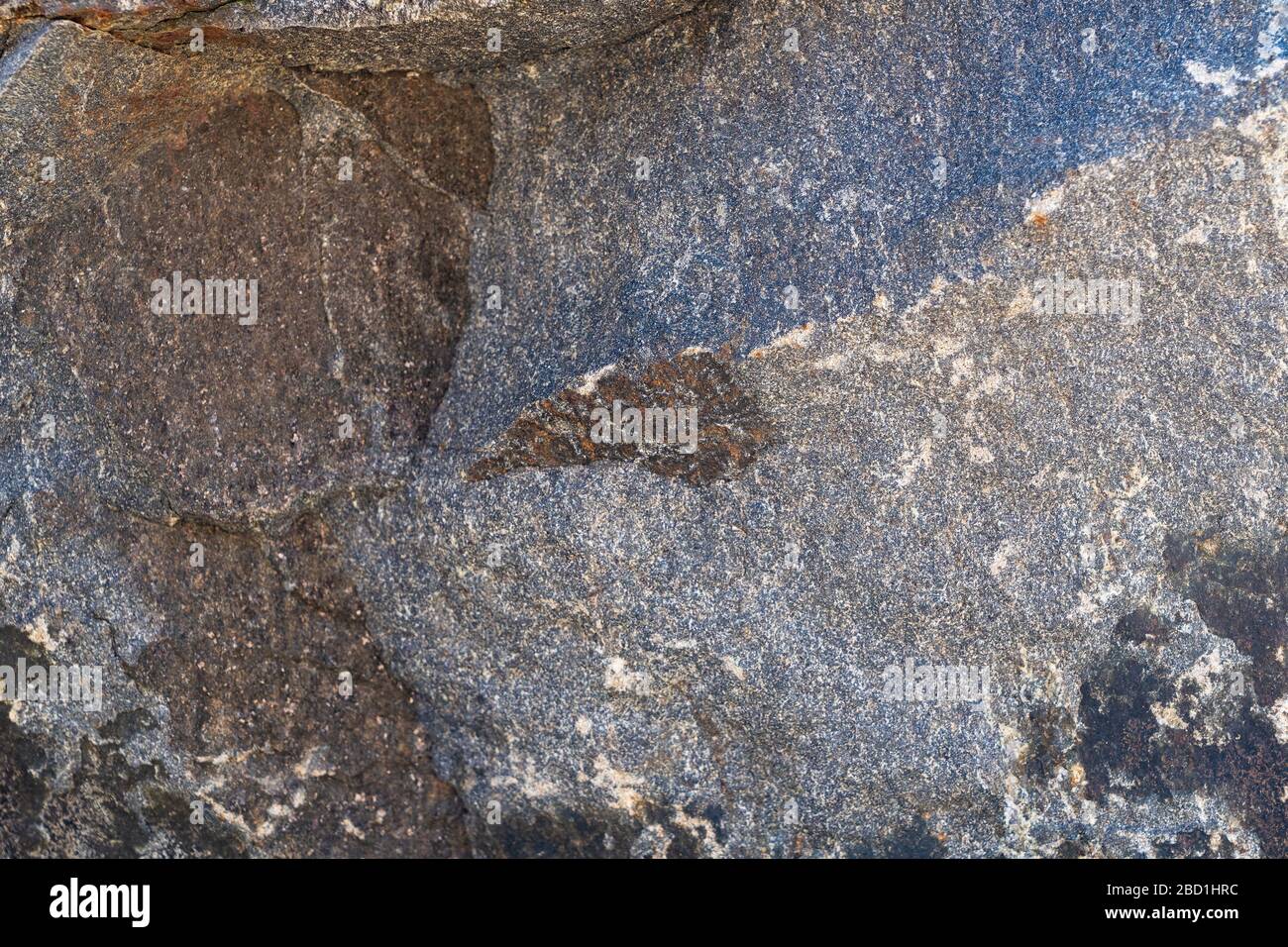 Texture of natural rock granite natural rock granite, magmatic ...