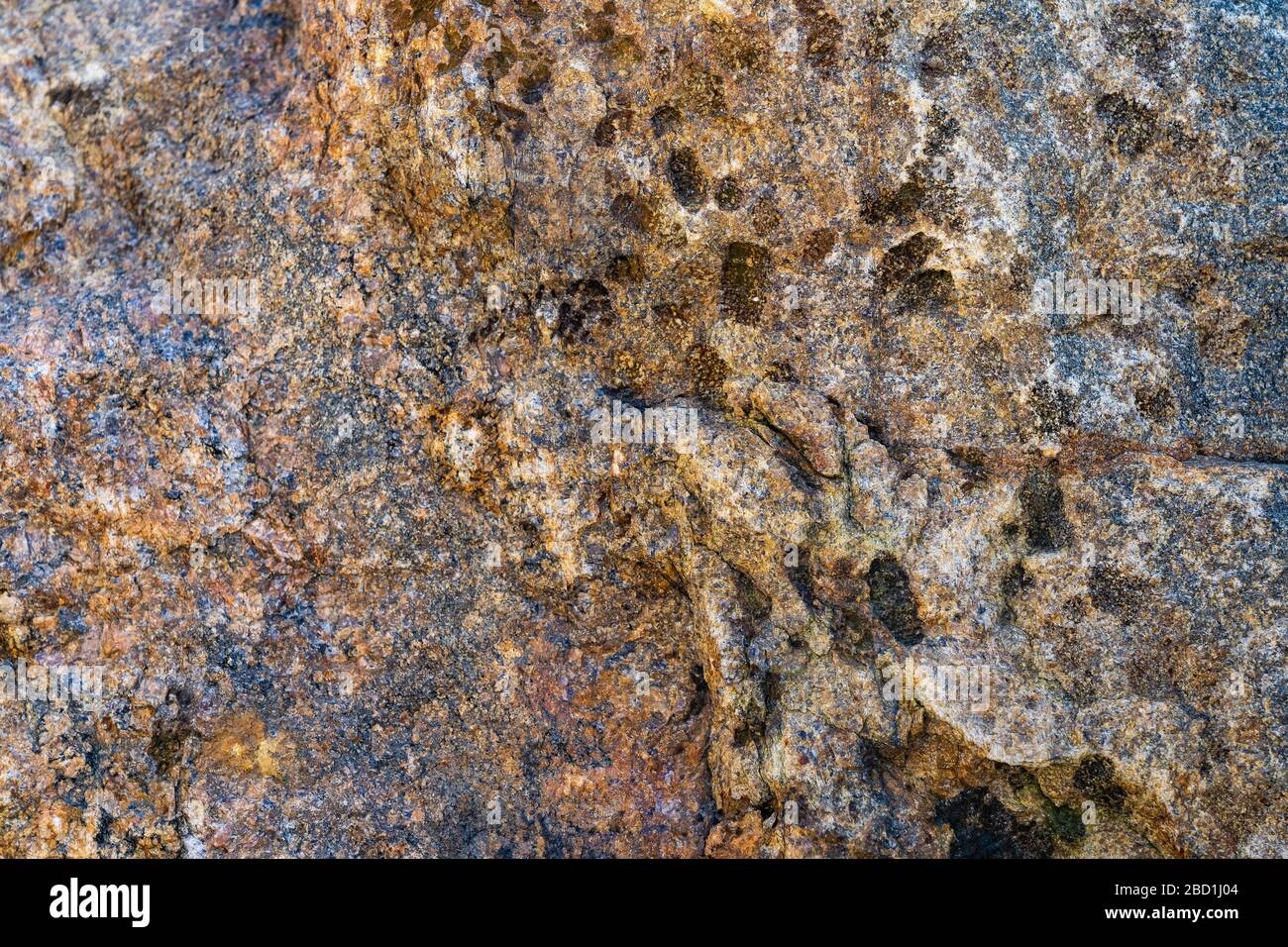 Texture of natural rock granite natural rock granite, magmatic ...