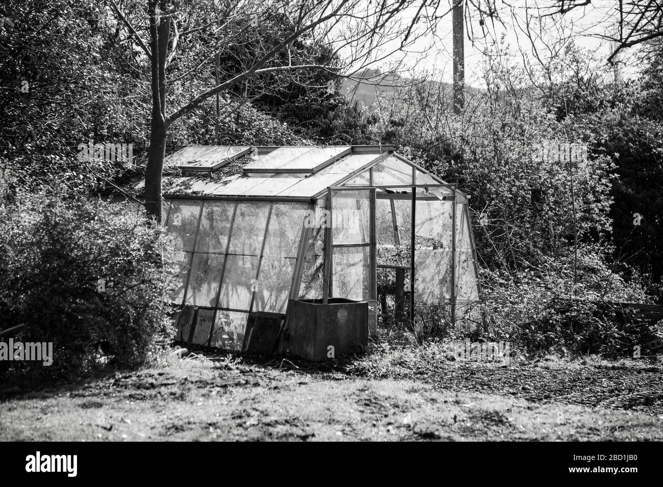 Rundown garden hi-res stock photography and images - Alamy