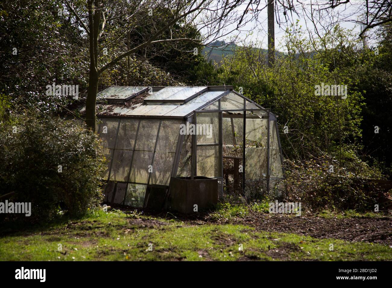 Rundown garden hi-res stock photography and images - Alamy