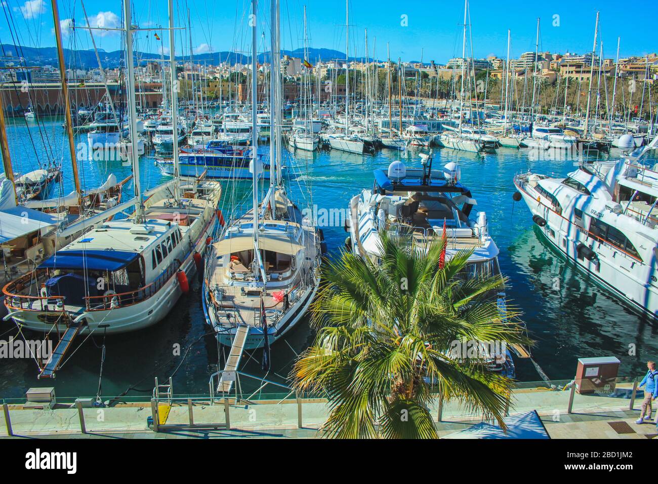 Palma de mallorca waterfront hi-res stock photography and images - Alamy