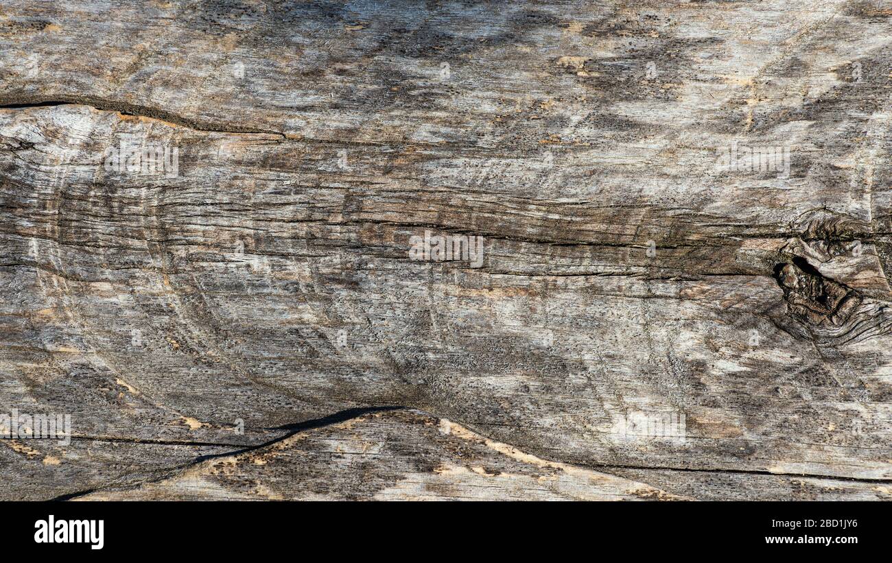 Wooden plank. Natural texture for background Stock Photo - Alamy