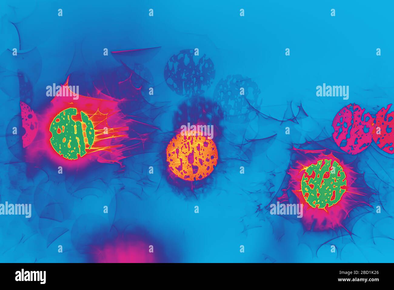 Light microscope bacteria hi-res stock photography and images - Alamy