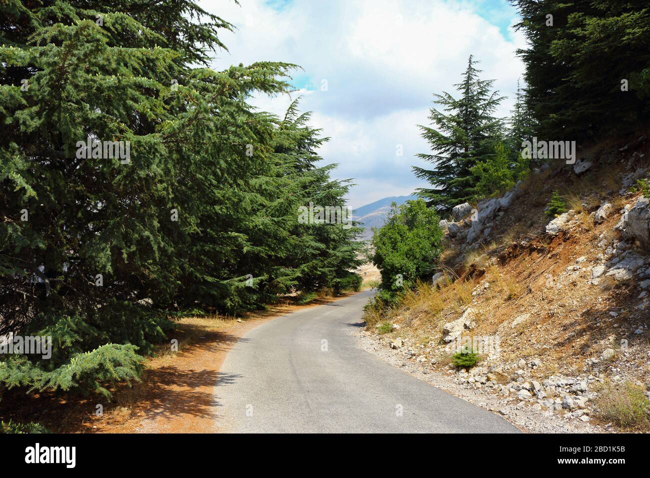 View of curvy tarmac road in the rural sides of Arez al Barouk in ...