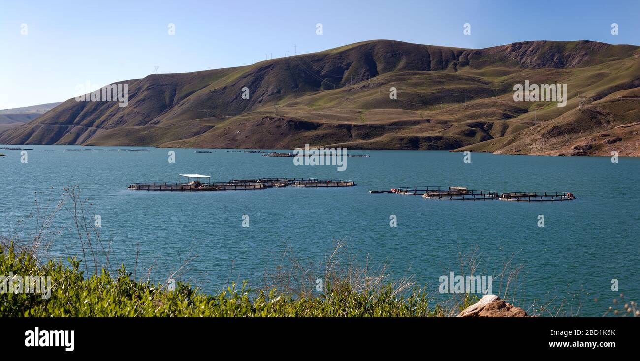 Fish farm at Van Turkey Stock Photo - Alamy