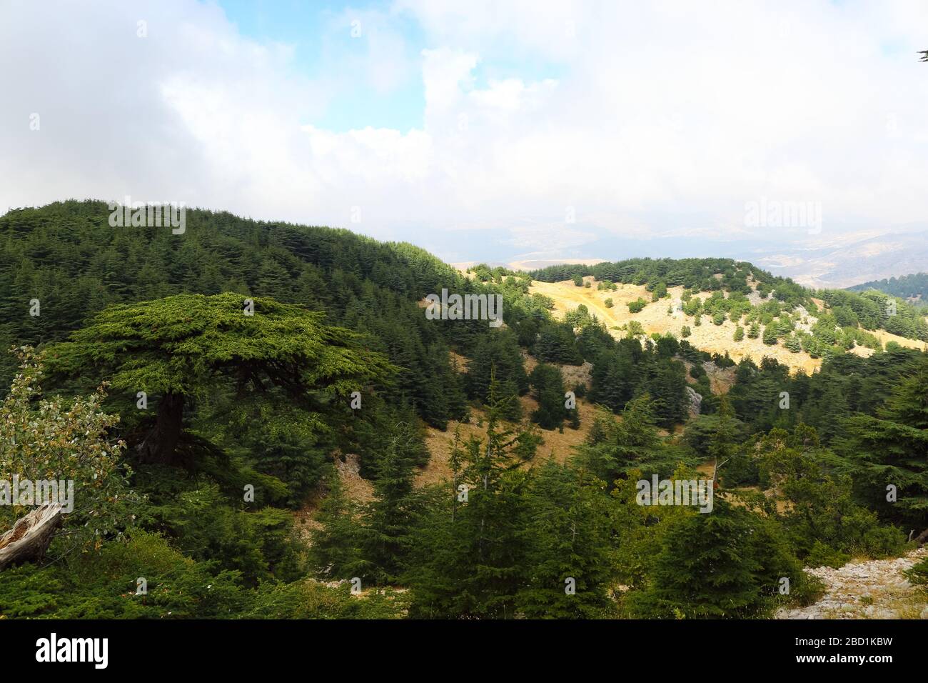 Lebanese landscape at Arez al Barouk Stock Photo - Alamy