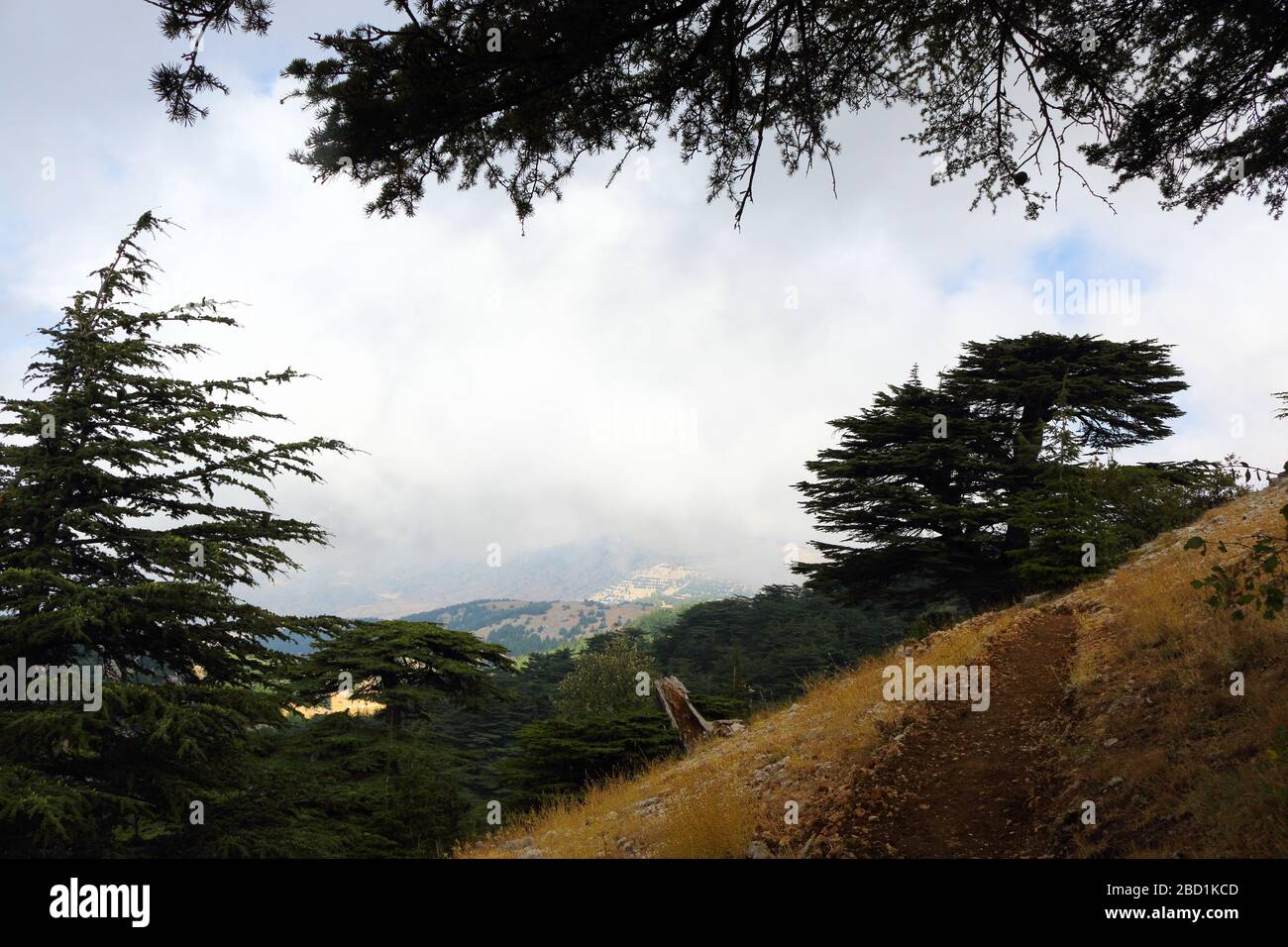 Lebanese landscape at Arez al Barouk Stock Photo - Alamy