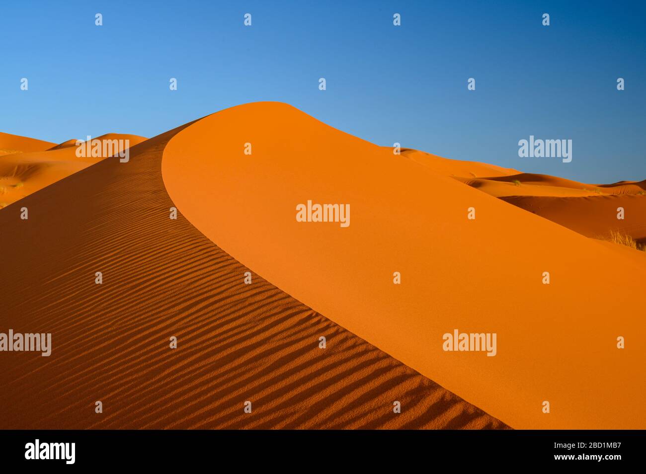 Sand dunes with blue sky, Sahara Desert, Morocco, North Africa, Africa ...