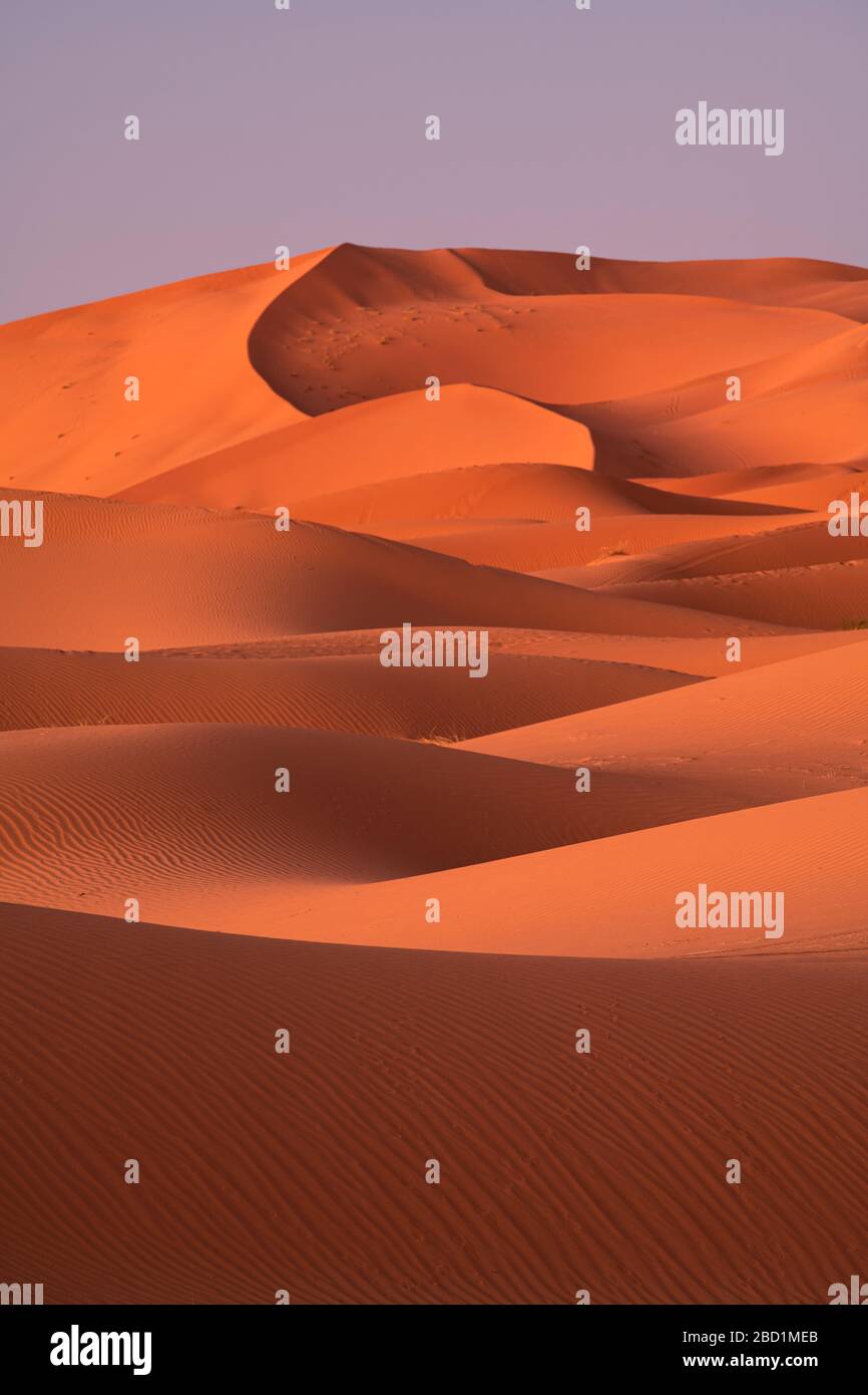 Sand dunes, Sahara Desert, Morocco, North Africa, Africa Stock Photo ...