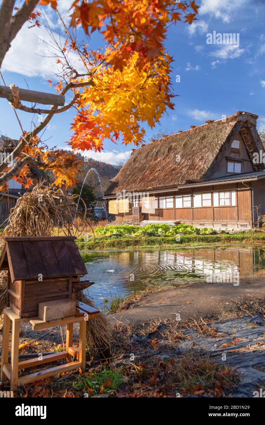 Traditional house of Ogimachi, UNESCO World Heritage Site, Shirakawa-go ...
