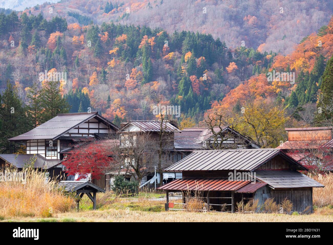 Traditional houses of Ogimachi, UNESCO World Heritage Site, Shirakawa ...