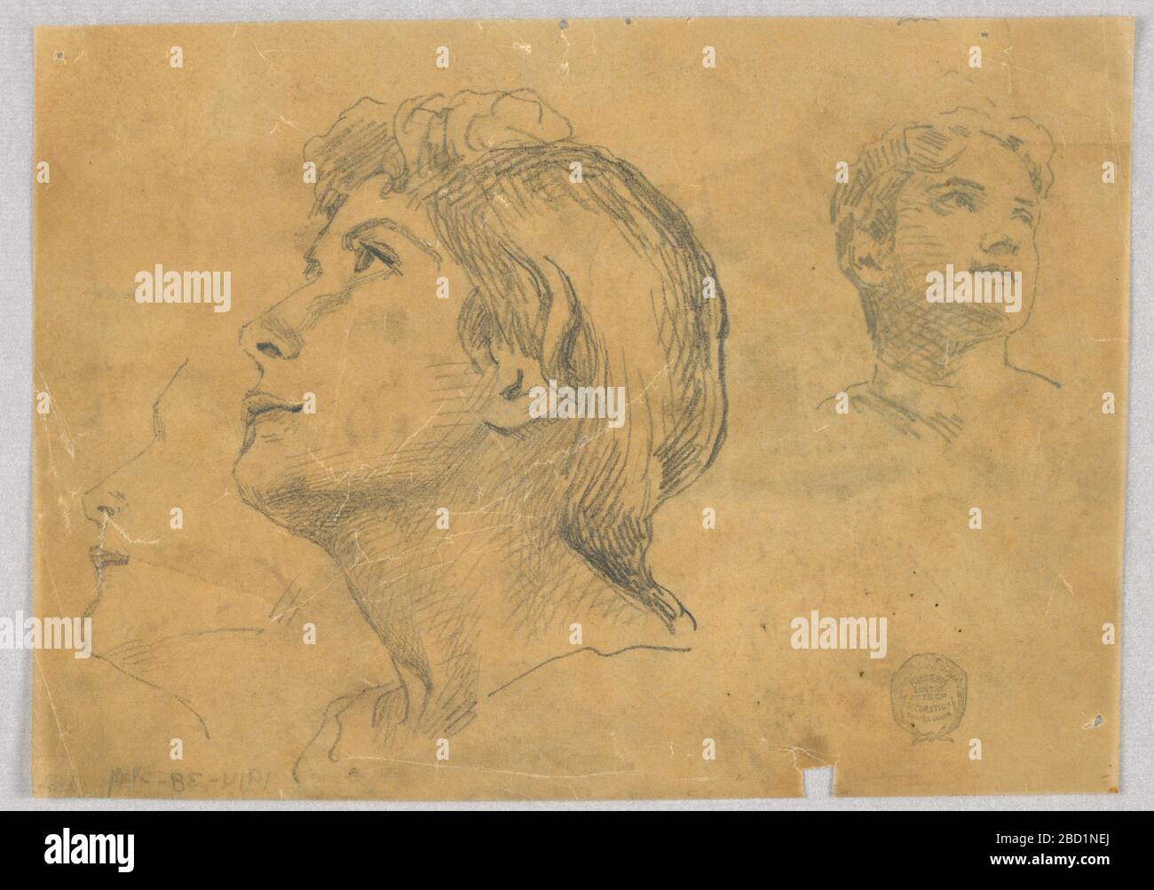 Sketches of Two Heads. Research in ProgressAt left, head of a woman ...