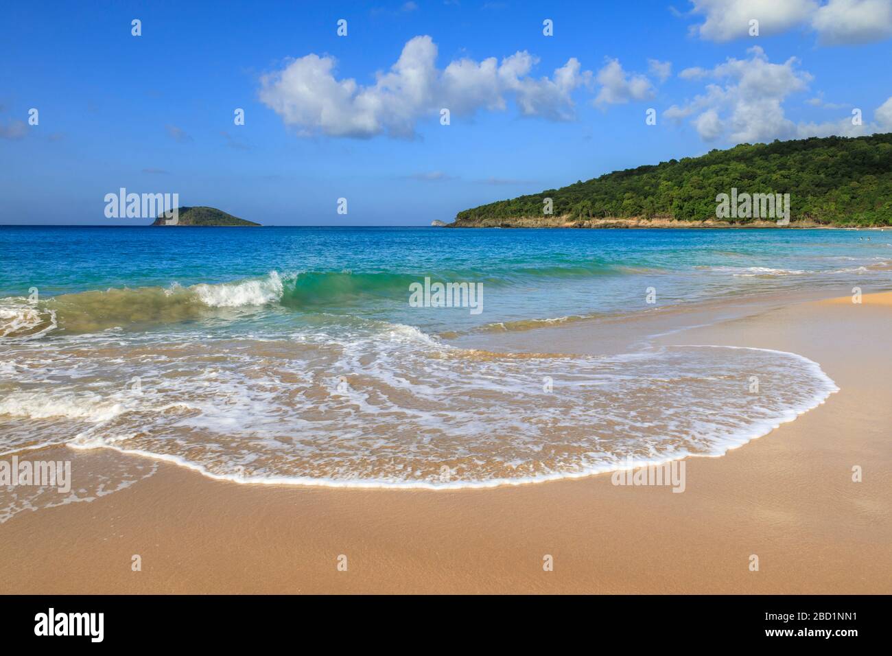 Tropical Anse de la Perle beach, golden sand, turquoise blue sea, Death ...