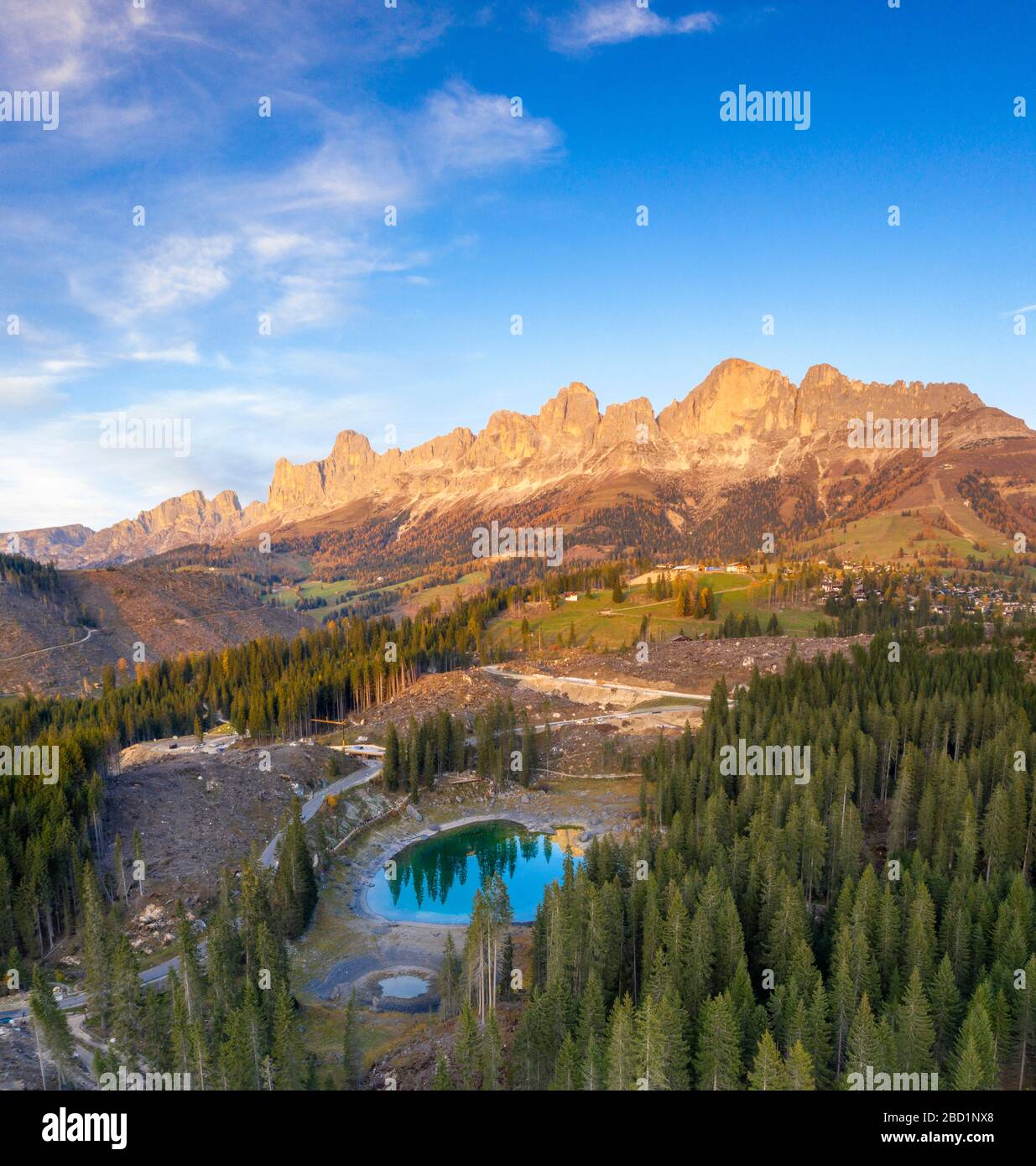 Deforestation vertical hi-res stock photography and images - Alamy