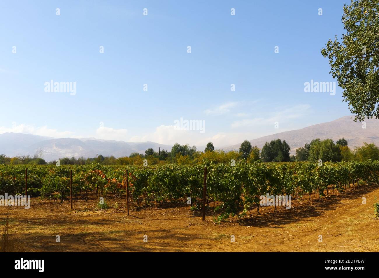 Beautiful landscape of mountains and cultivated lands in the ...