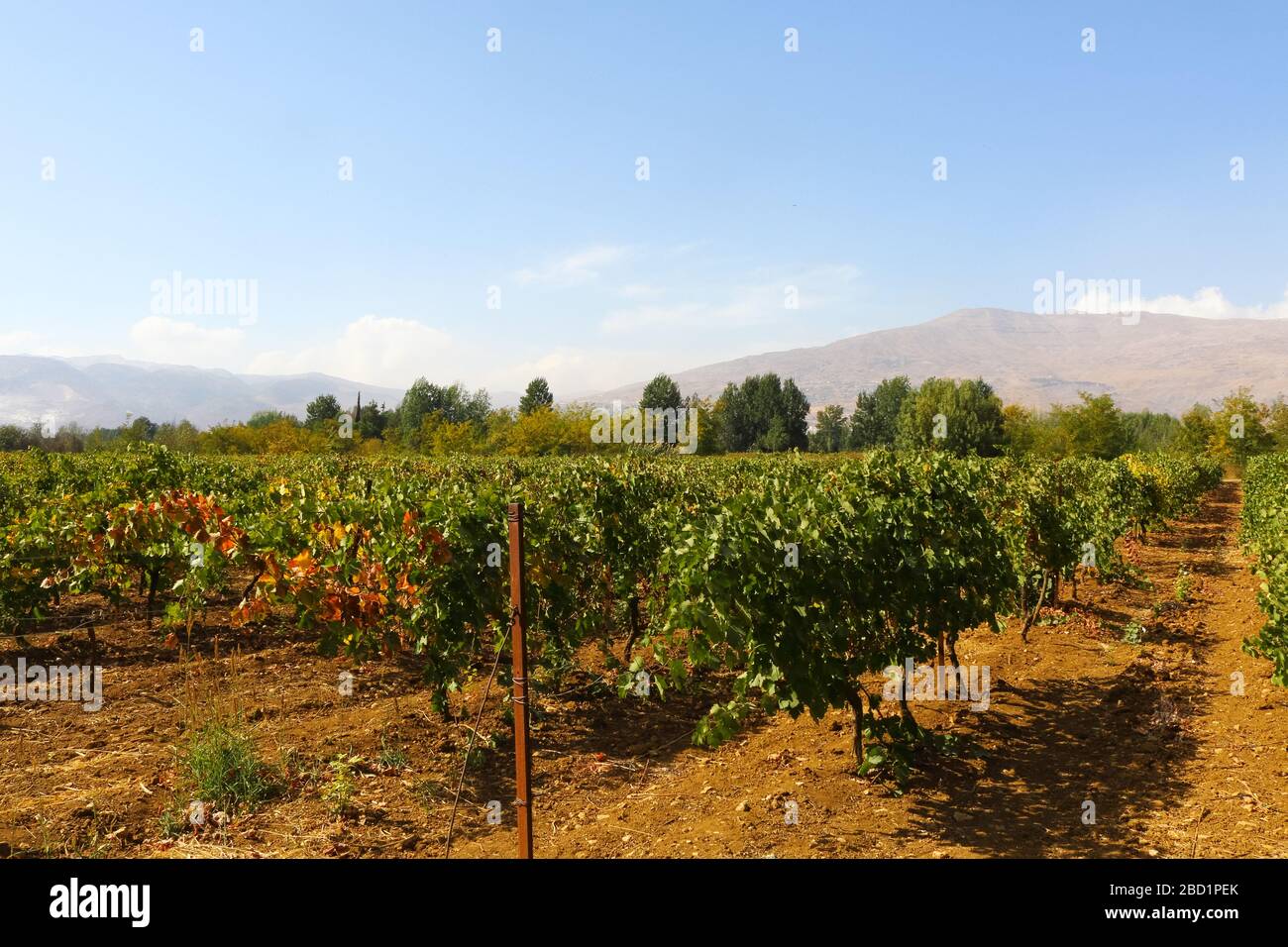 Beautiful landscape of mountains and cultivated lands in the ...