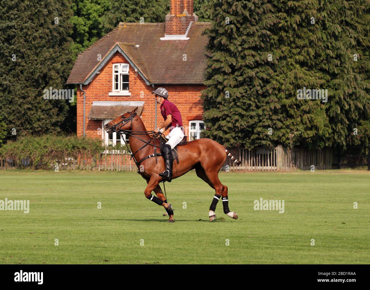 English polo team hi-res stock photography and images - Alamy