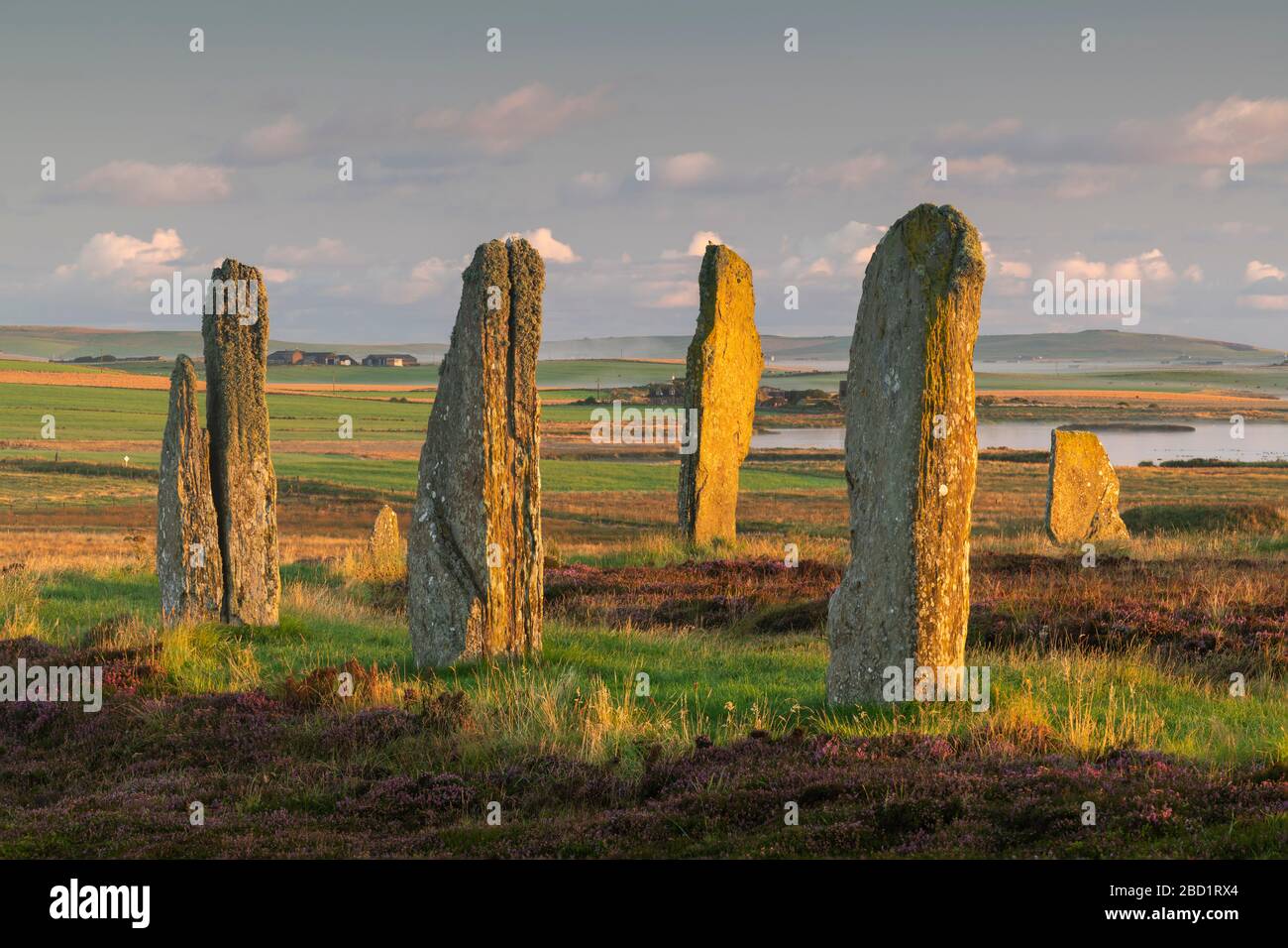 Neolithic Ring of Brodgar, UNESCO World Heritage Site, at dawn on the ...