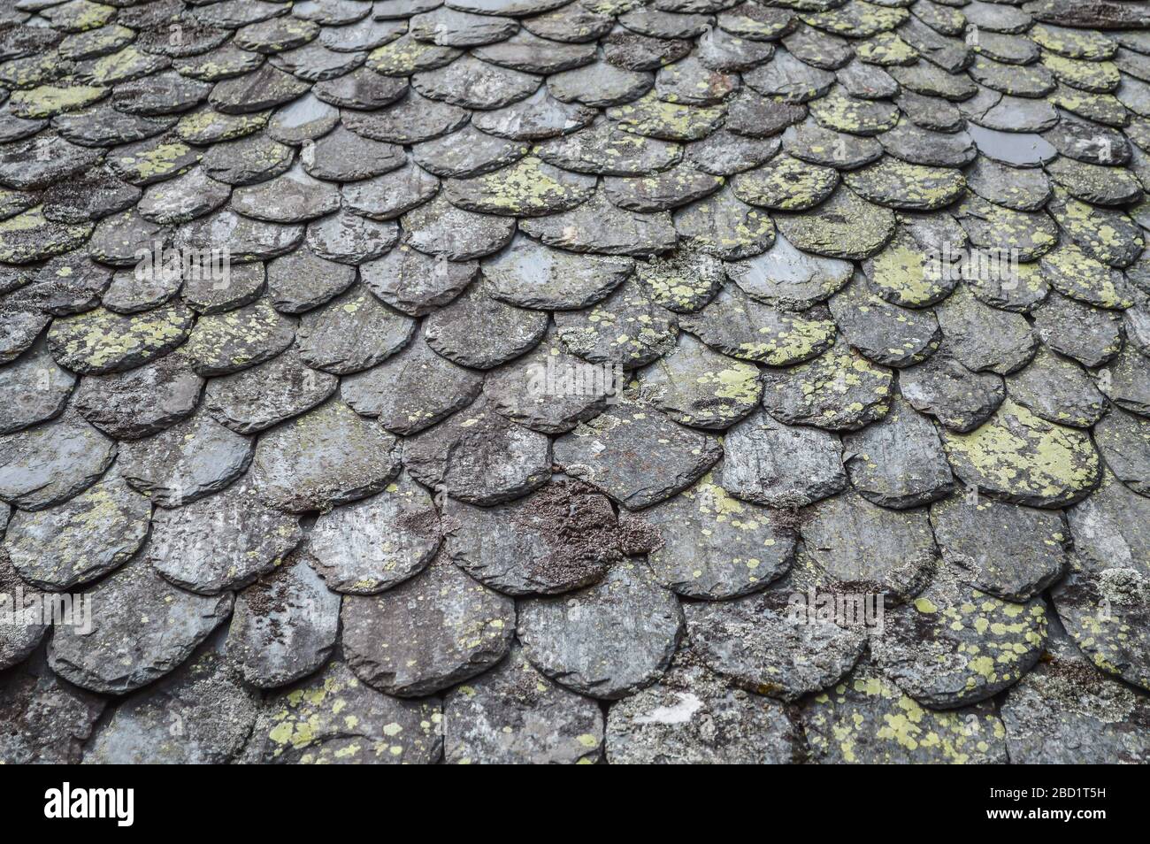 Rustic slate roof texture hi-res stock photography and images - Alamy