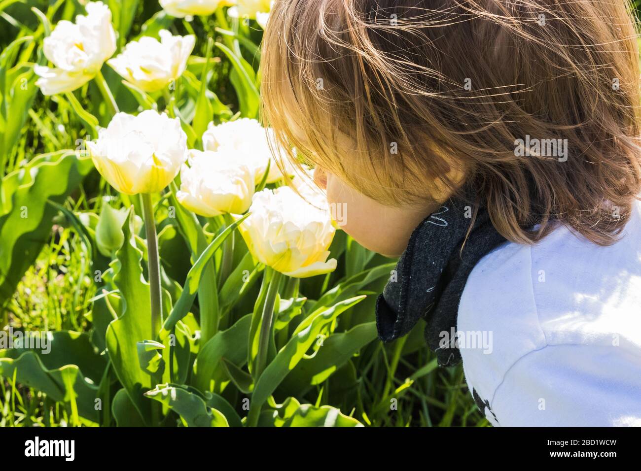One kid smelling flower hi-res stock photography and images - Alamy