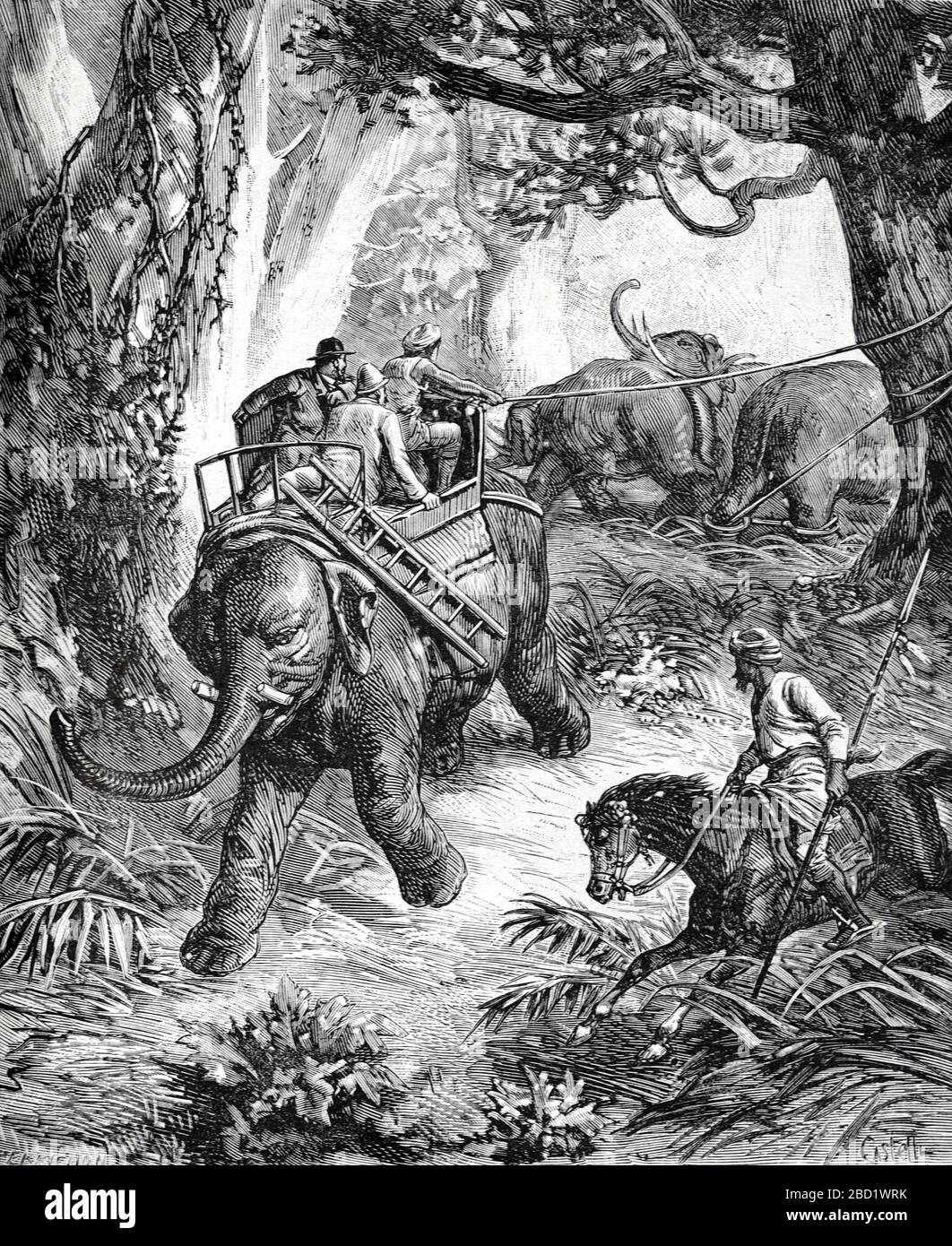 Elephant hunt hi-res stock photography and images - Alamy