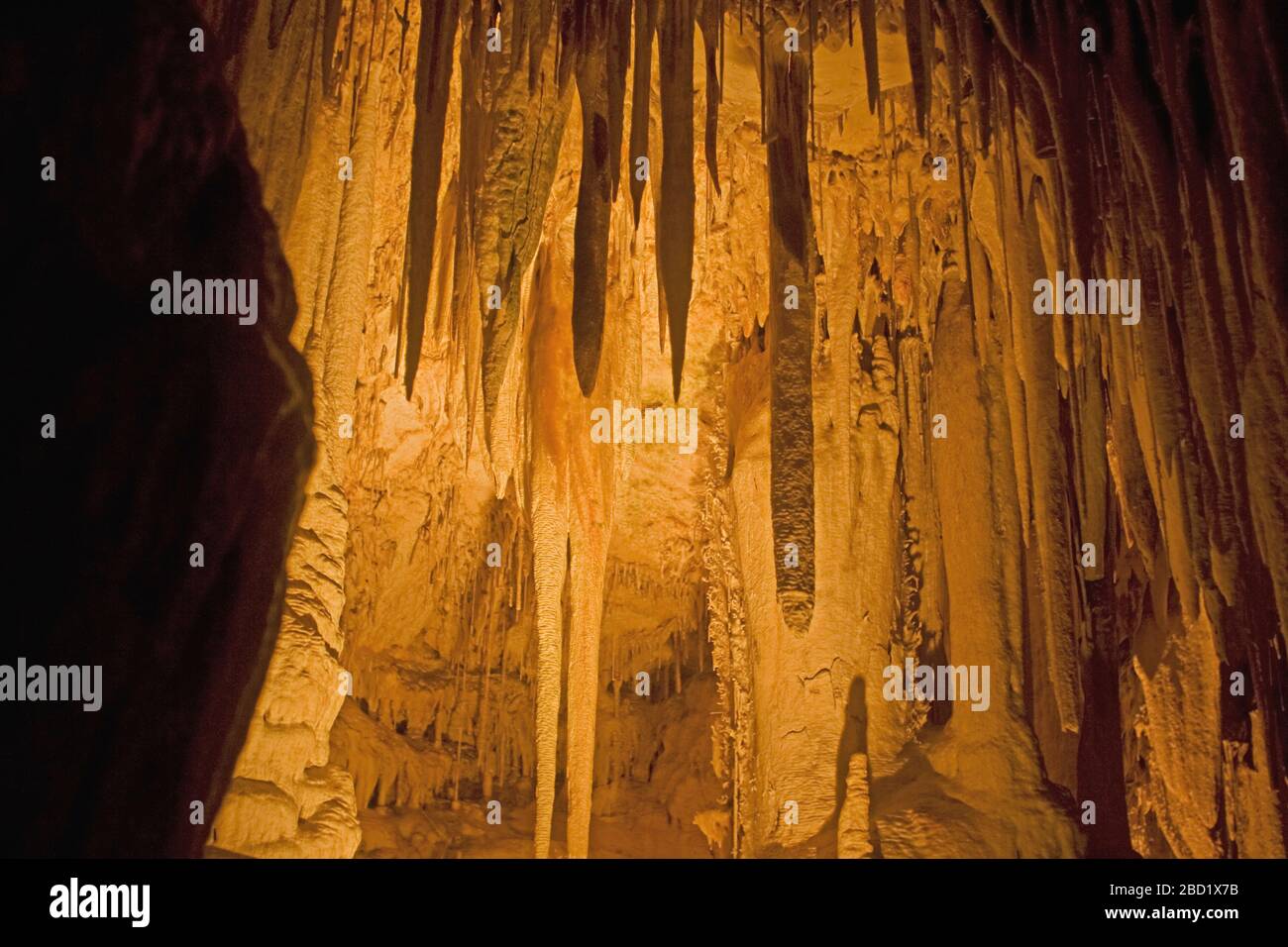 Cave coral at the Soreq Stalactite Cave Nature Reserve (also called ...