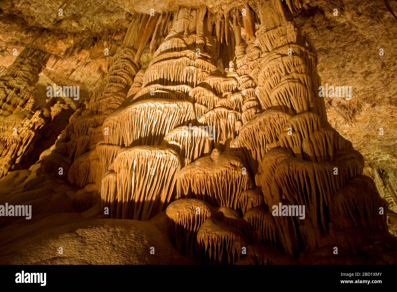 Cave coral at the Soreq Stalactite Cave Nature Reserve (also called ...