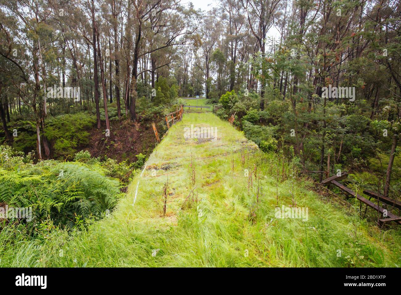 Noojee Trestle Rail Bridge in Victoria Australia Stock Photo - Alamy