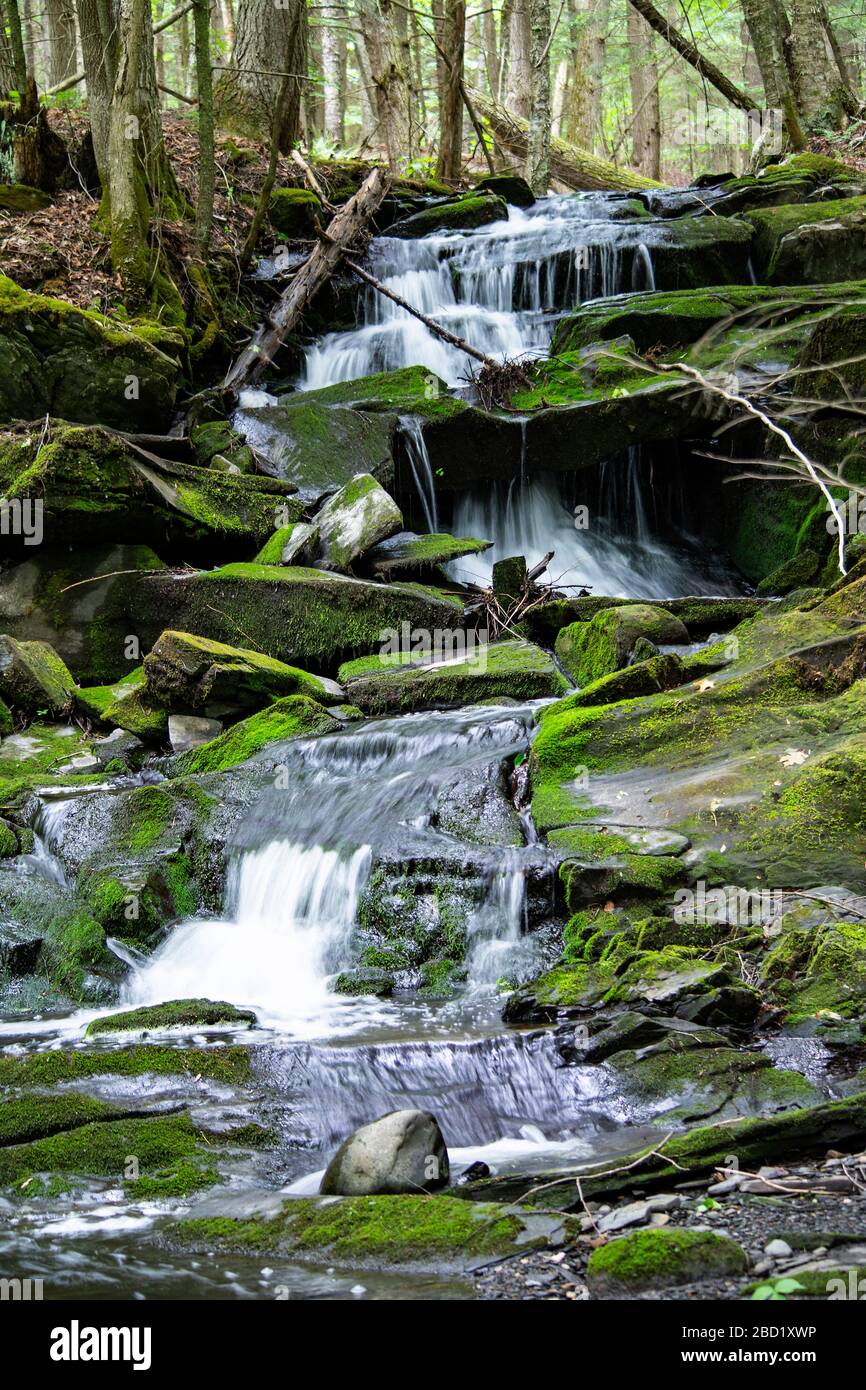 Moss green waterfall hi-res stock photography and images - Alamy