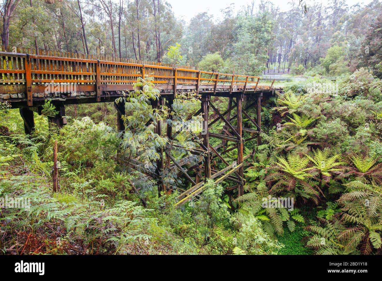 Noojee Trestle Rail Bridge in Victoria Australia Stock Photo - Alamy