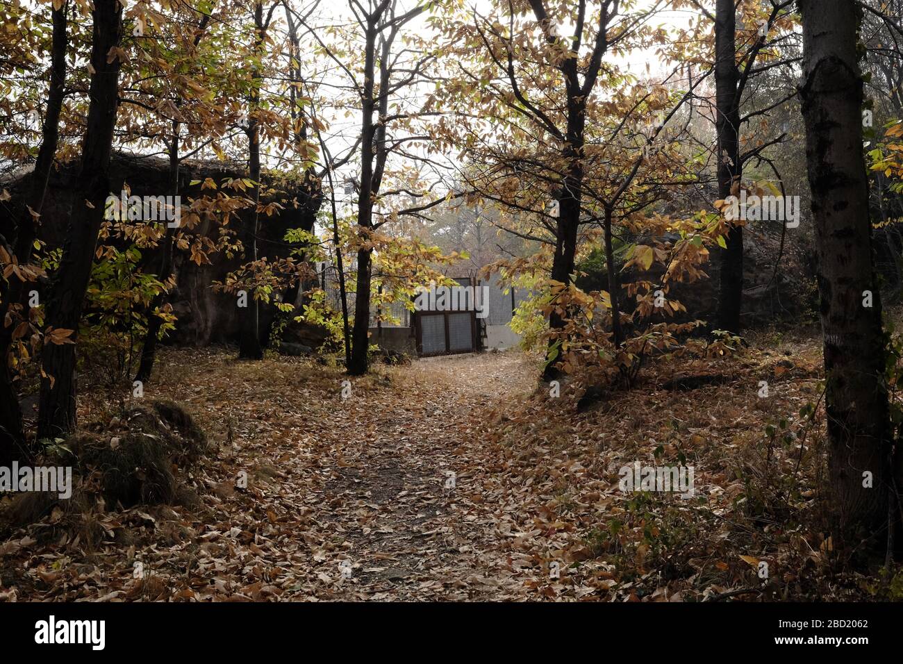 entrance of the tav worksite in chiomonte Stock Photo - Alamy