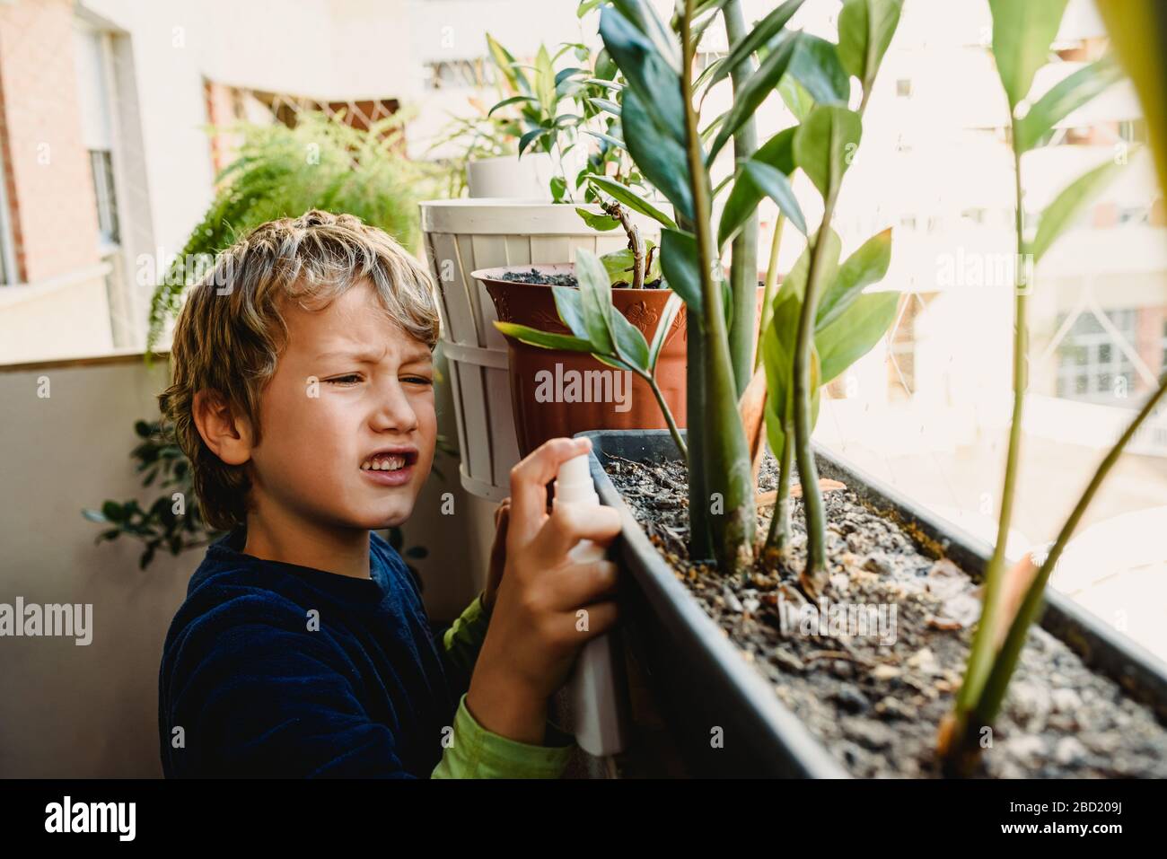 Boy Takes Care Of Garden High Resolution Stock Photography and Images ...