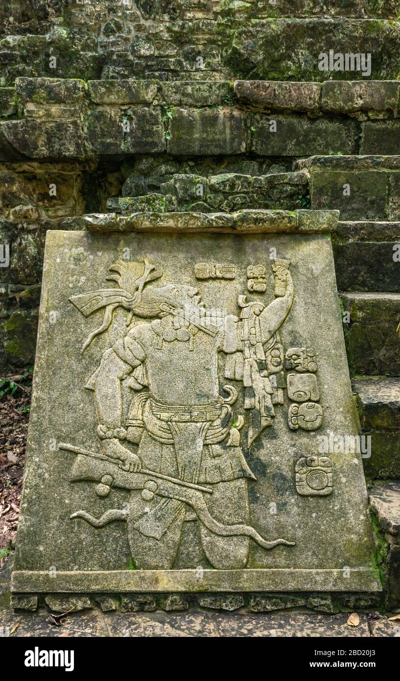 Carving panel at Templo XXI, Acropolis Sur, Maya ruins at Palenque ...