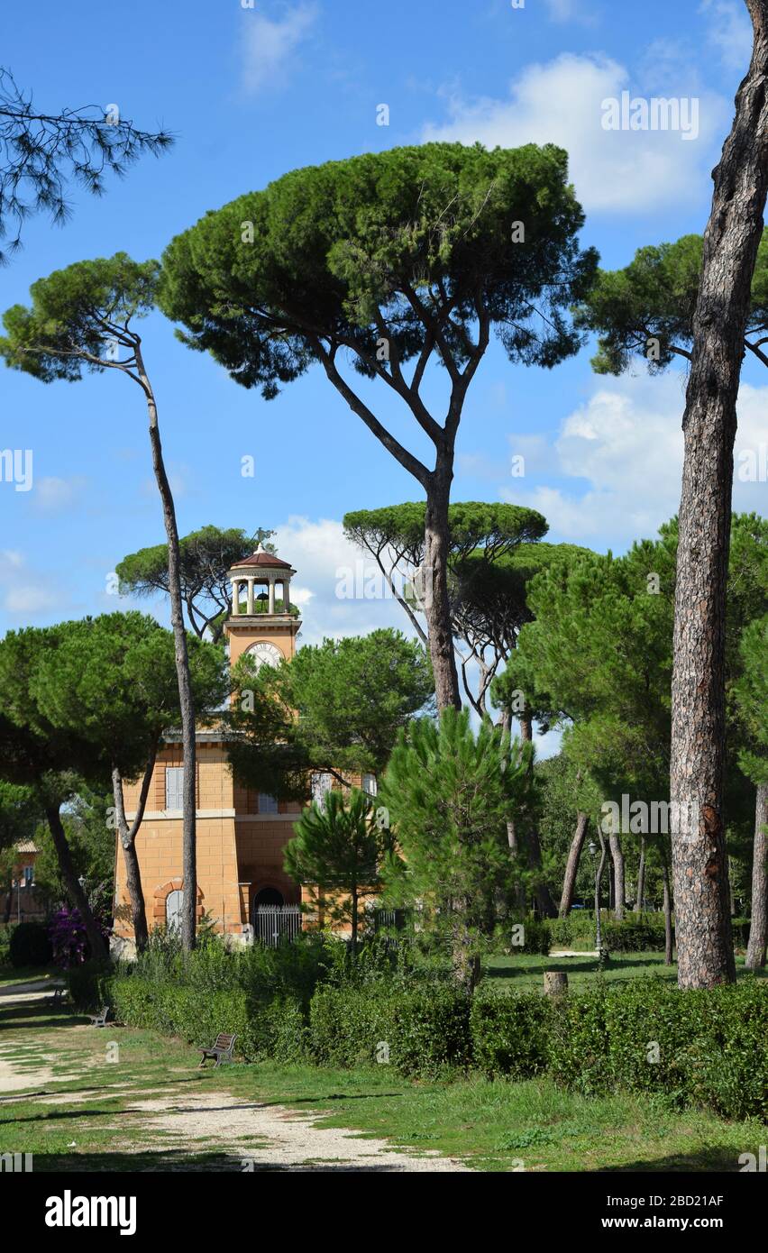Villa Borghese Pine Trees High Resolution Stock Photography and Images ...