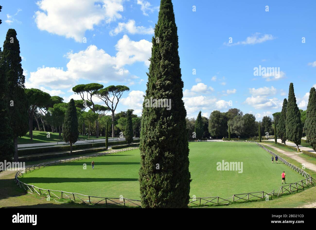 Villa Borghese Pine Trees High Resolution Stock Photography and Images ...