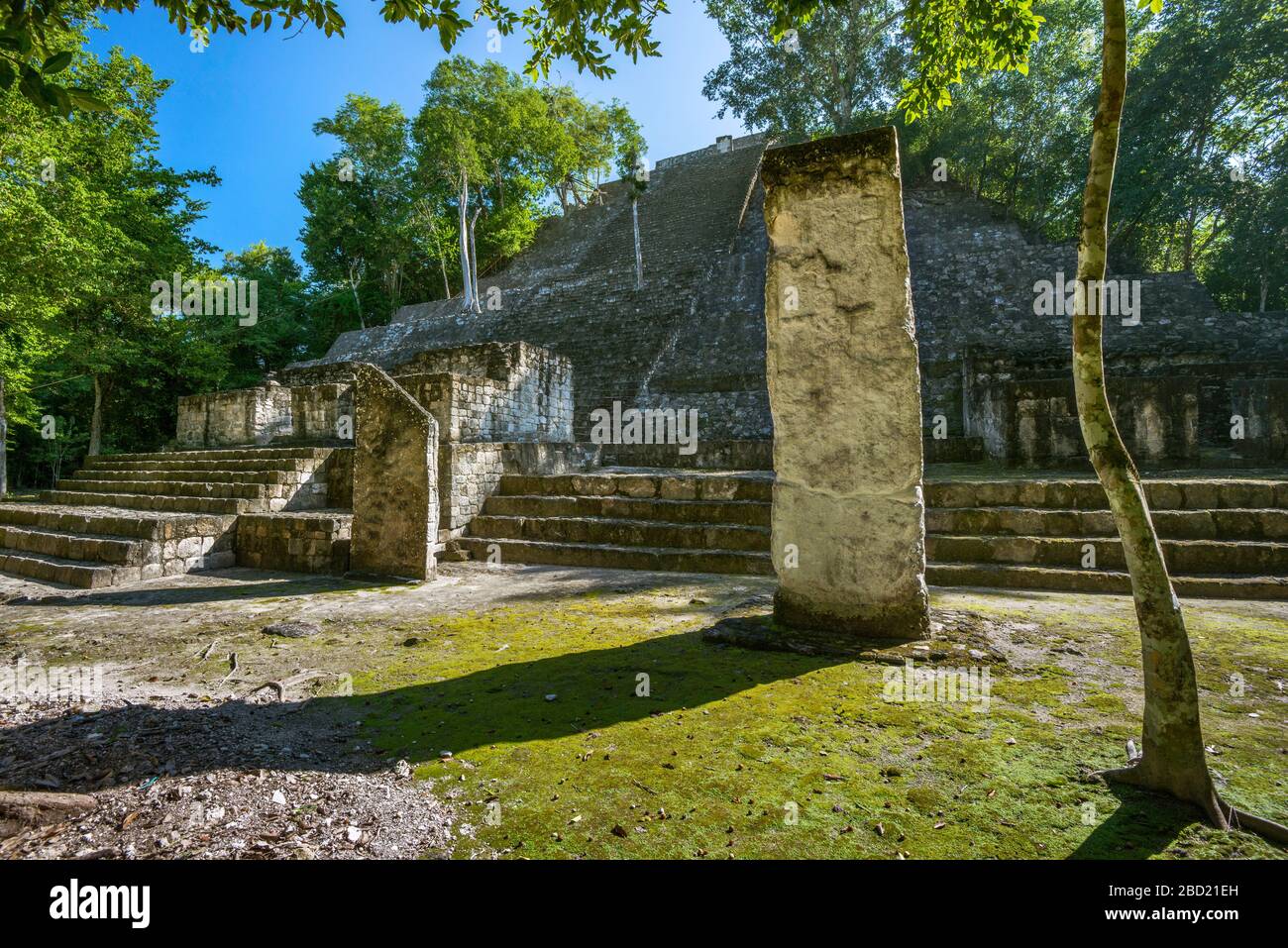 Stelae at Estructura I (Structure 1) pyramid, Maya ruins at Calakmul ...