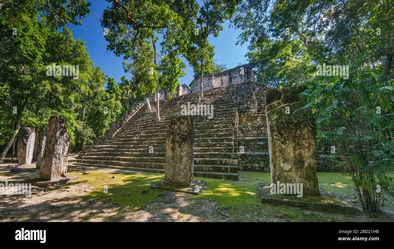 Stelae at Estructura XV (Structure 15) pyramid, tropical rainforest ...