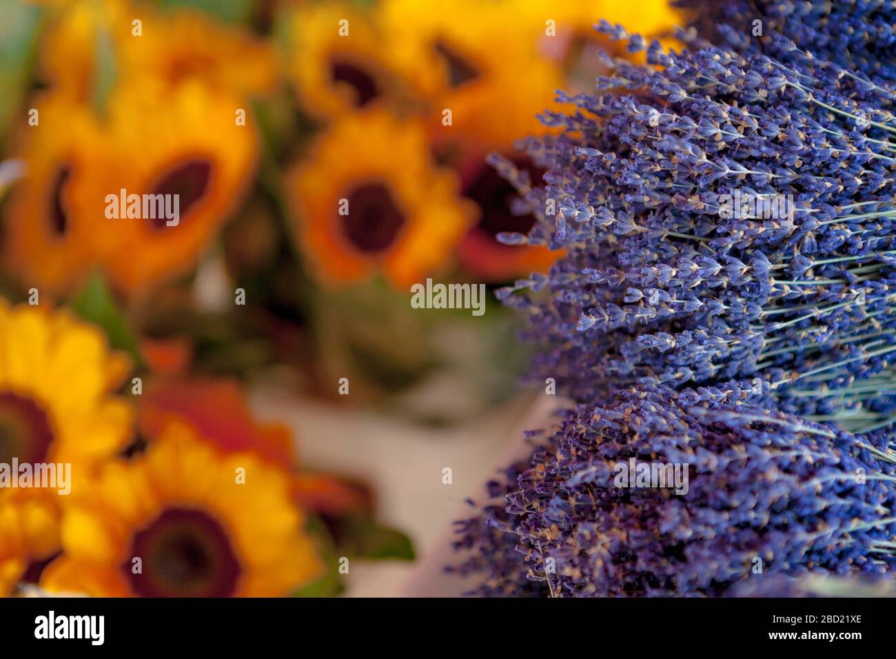 Lavender and sunflowers in a market in Lourmarin, Luberon, Provence ...
