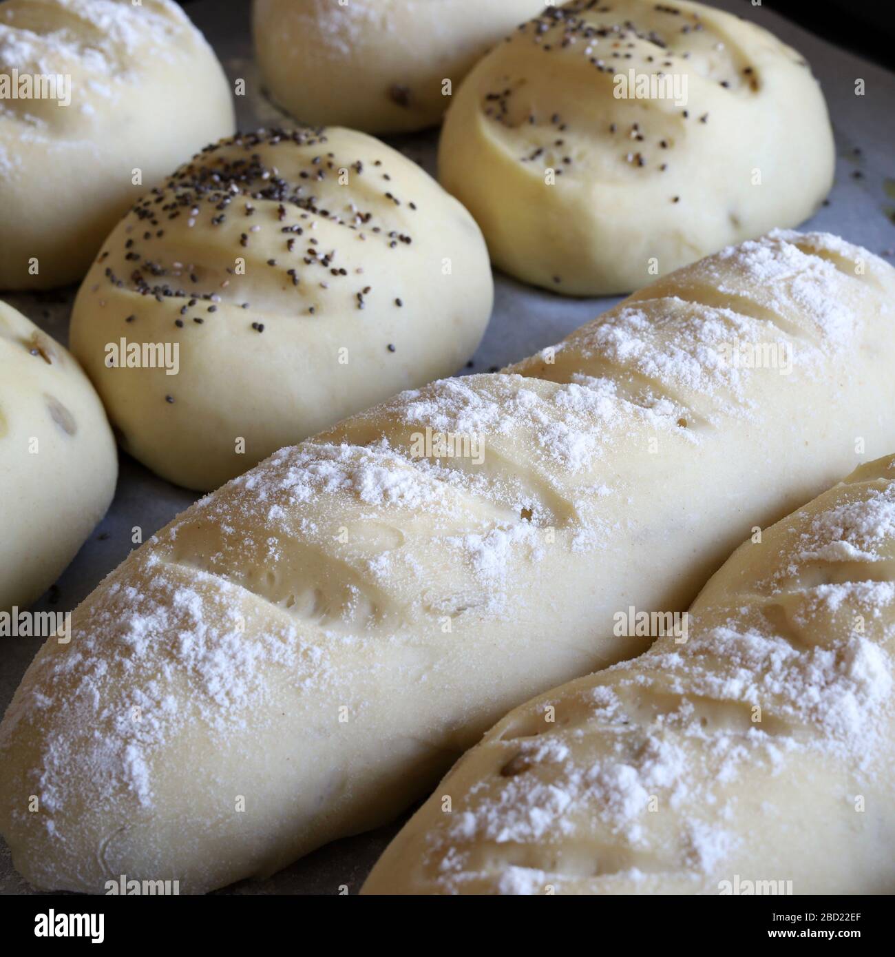 Homemade food concept. Preparation process, raw unbaked buns and bread ...